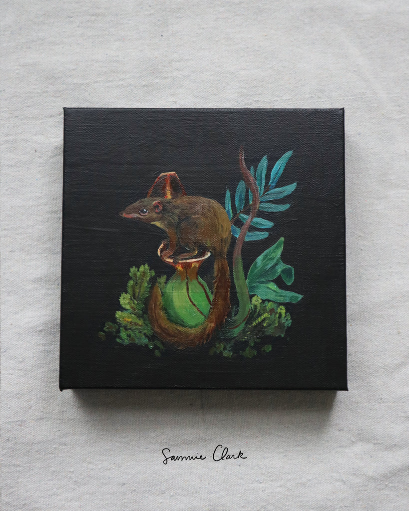 Tree Shrew & Pitcher Plant ~ Acrylic on Canvas – Sammie Clark Art